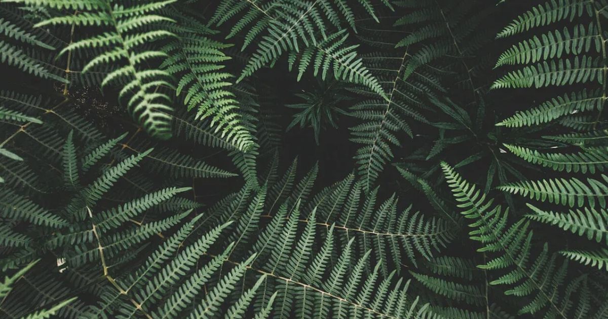 10 Visual AI Tools You Should Try This Year